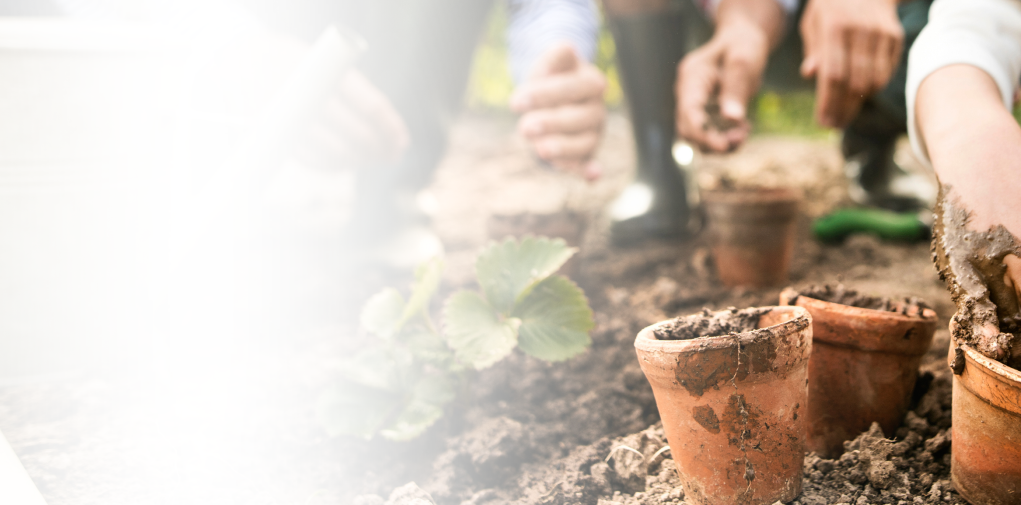 Welcome Page - Ultimate Bundles